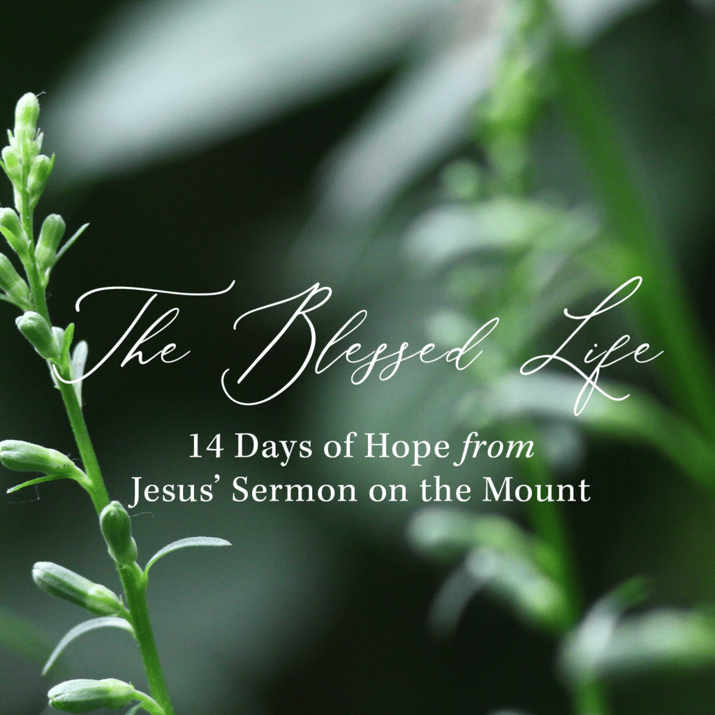 The Blessed Life: 14 Day Devotional Series * Kelly Minter
