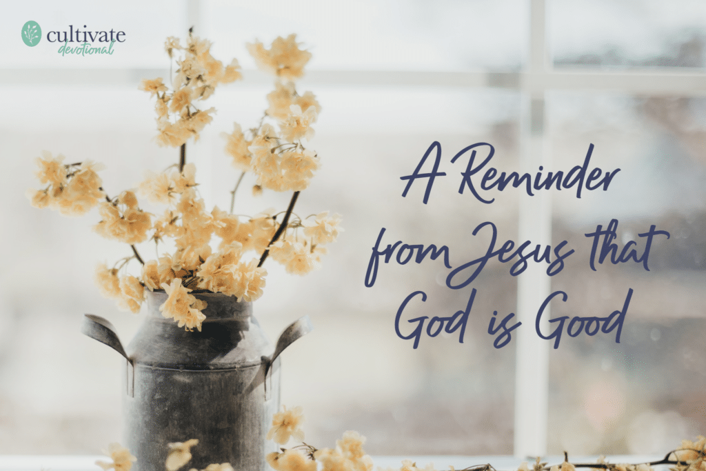 A Reminder From Jesus That God Is Good * Kelly Minter