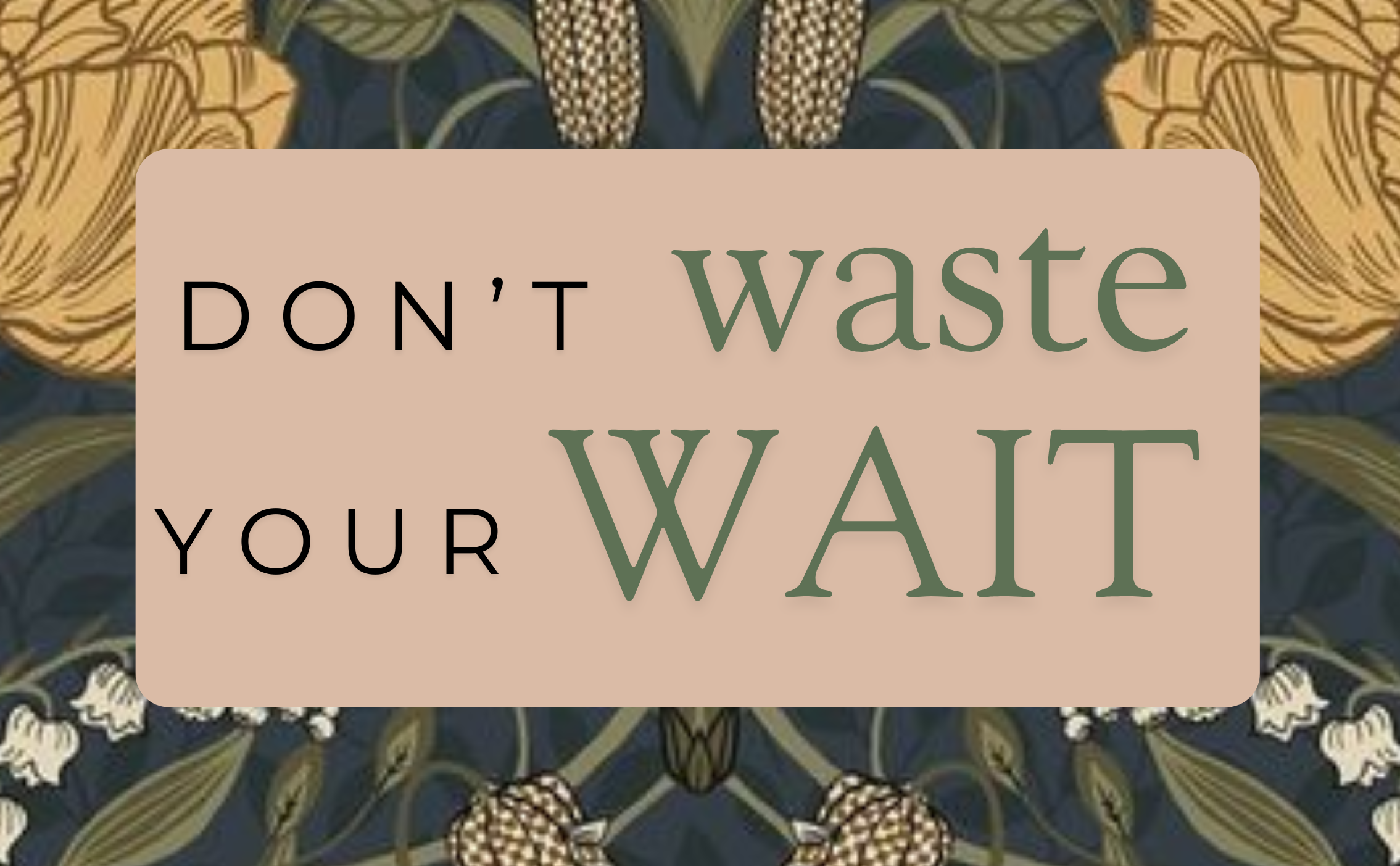 Bible Studies & Books | Women's Bible Study | Kelly Minter - Author ...